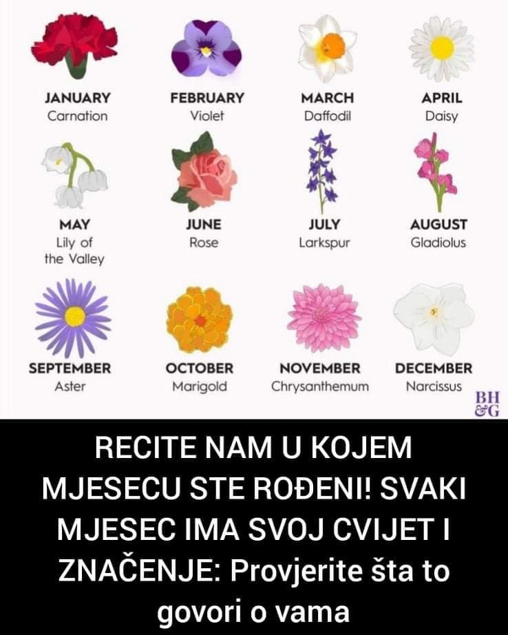RECITE NAM U KOJEM MJESECU STE ROĐENI! SVAKI MJESEC IMA SVOJ CVIJET I ...