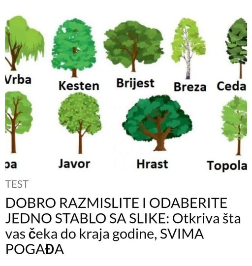 DOBRO RAZMISLITE I ODABERITE JEDNO STABLO SA SLIKE: Otkriva šta vas ...
