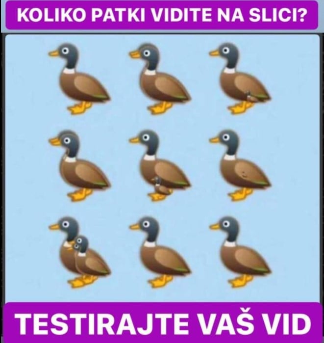 Koliko Je Patki Na Slici? Kako Riješiti Najnoviju Zagonetku Društvenih ...